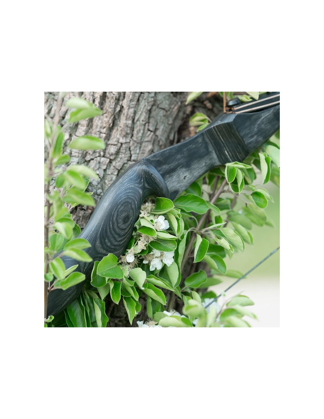 copy of LONGBOW TAKE DOWN REFLEX DEFLEX Version Right Length 62 Inches ...